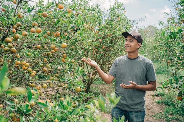 Un Agricultor Feliz Cosecha Fruta Naranja En La Plantación De Naranjos