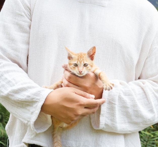 Hombre que sostiene el gatito. | Foto Premium Hombre que sostiene el gatito. | Foto Premium