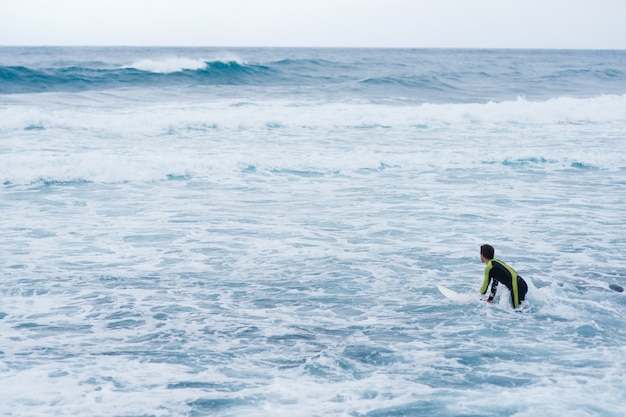 Montando las olas. paraíso del surf navegar. canarias, tenerife. | Foto ... Montando las olas. paraíso del surf navegar. canarias, tenerife. | Foto ...