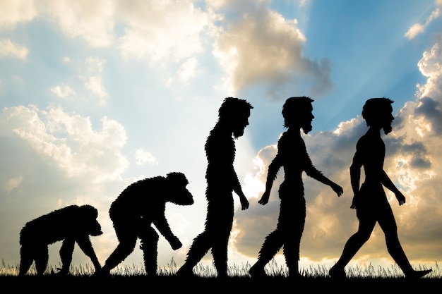 Illustration der menschlichen evolution | Premium-Foto Illustration der menschlichen evolution | Premium-Foto
