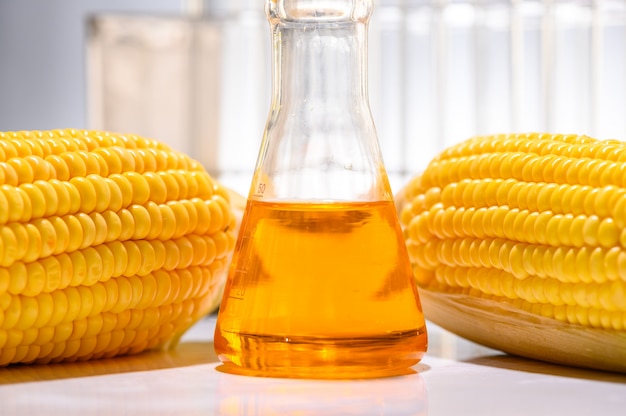 Premium Photo | Biofuel from corn, oil and biofuel solution. Premium Photo | Biofuel from corn, oil and biofuel solution.