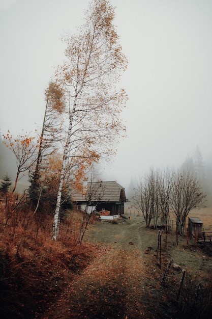 Free Photo | Brown house near trees Free Photo | Brown house near trees