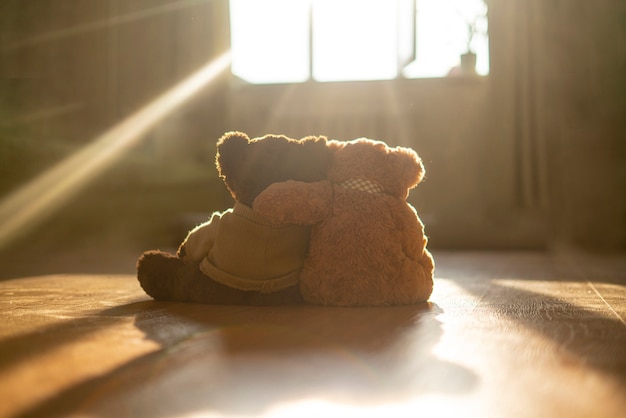 Premium Photo A Couple Of Two Teddy Bears Hug Each Other Love