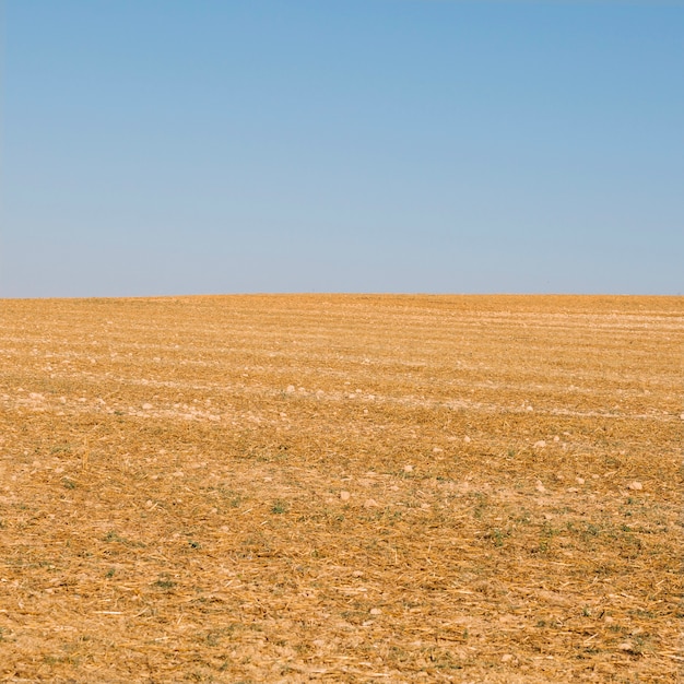 Free Photo Dry Field And Blue Sky