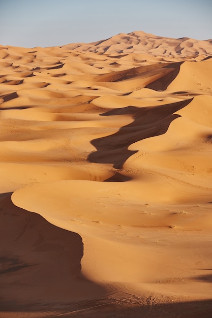 Premium Photo Endless Sands Of The Sahara Desert Beautiful Sunset