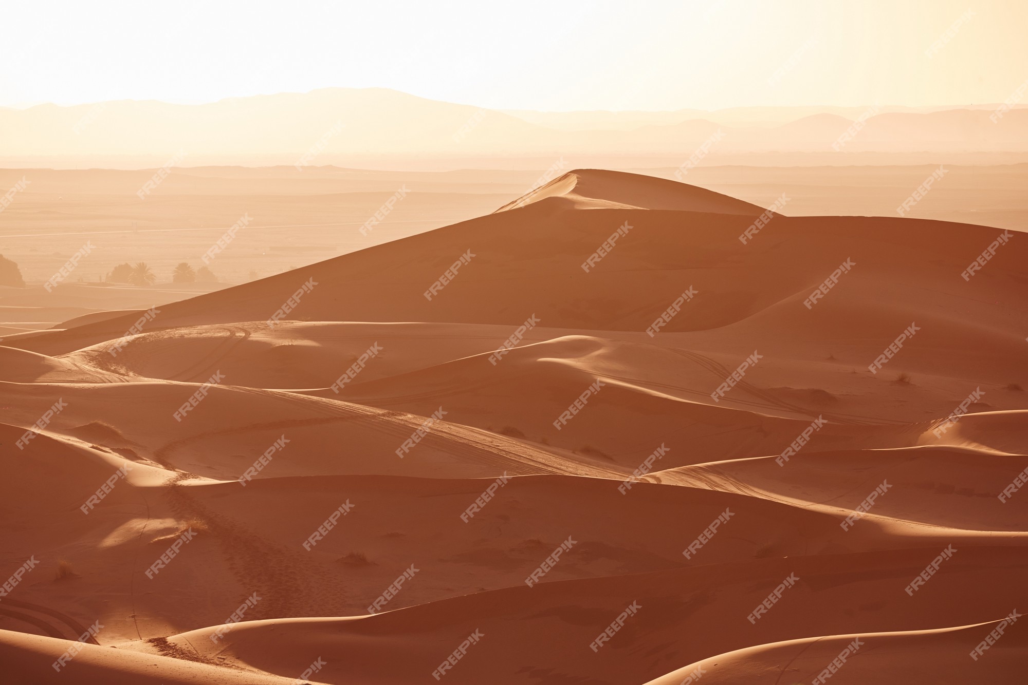 Premium Photo Endless Sands Of The Sahara Desert Beautiful Sunset