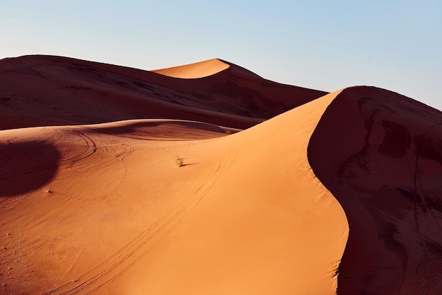 Premium Photo Endless Sands Of The Sahara Desert The Hot Scorching