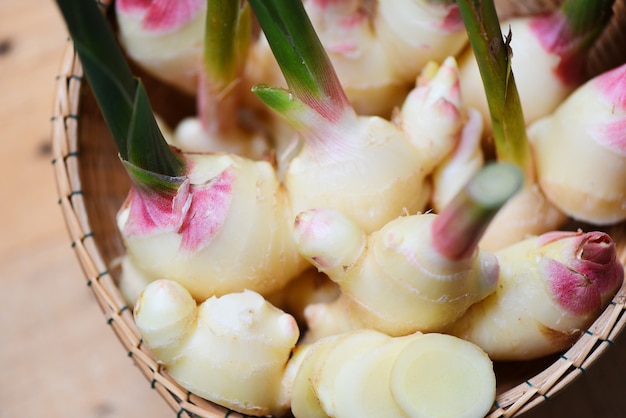 Premium Photo | Ginger root harvest on the basket. fresh young ginger ... Premium Photo | Ginger root harvest on the basket. fresh young ginger ...