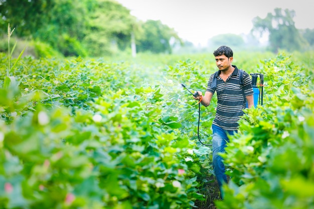 Premium Photo | Indian farmer spraying pesticide at cotton field Premium Photo | Indian farmer spraying pesticide at cotton field