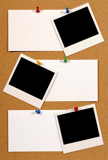 Notice Board Vector Free Download Notice Board Vector Free Download