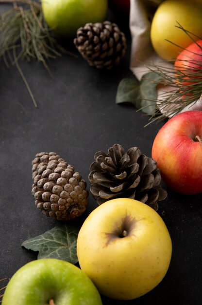 Free Photo | Side view multi-colored apples in a burlap bag with fir ... Free Photo | Side view multi-colored apples in a burlap bag with fir ...