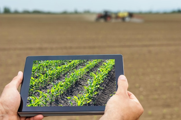 Premium Photo | Smart agriculture. farmer using tablet corn planting ... Premium Photo | Smart agriculture. farmer using tablet corn planting ...