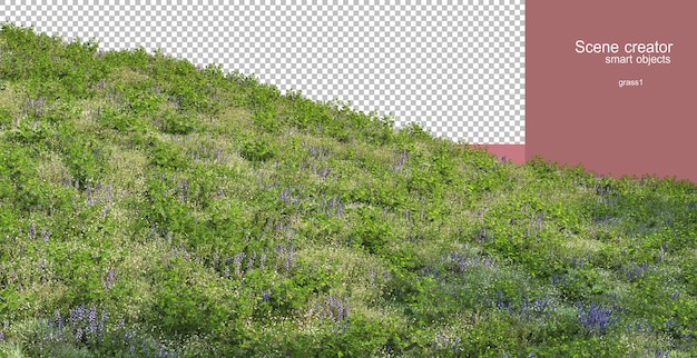 Premium PSD | 3d rendering of various grasses Premium PSD | 3d rendering of various grasses