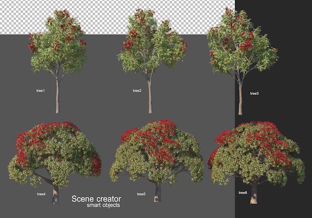 Premium PSD | 3d rendering, various tree layouts Premium PSD | 3d rendering, various tree layouts