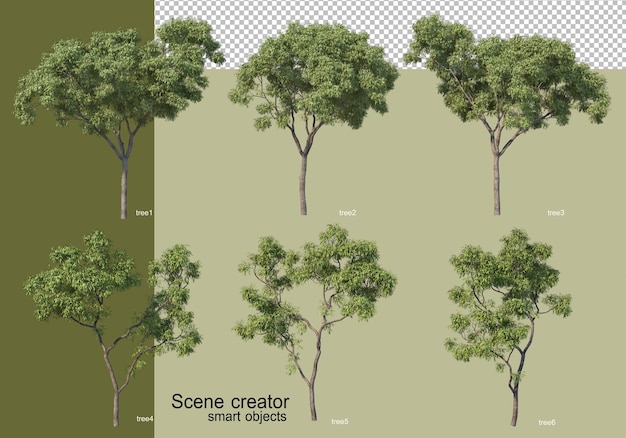 Premium PSD | 3d rendering of various trees isolated Premium PSD | 3d rendering of various trees isolated