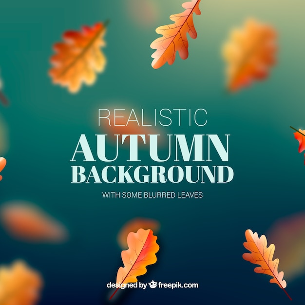 Free Vector | Autumn background with leaves Free Vector | Autumn background with leaves