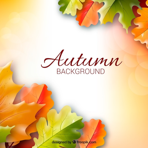 Free Vector | Autumn background with leaves Free Vector | Autumn background with leaves