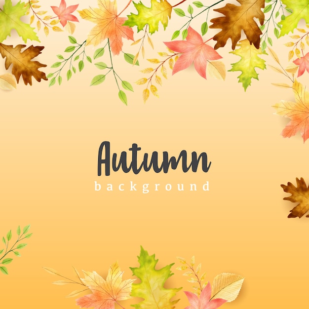 Autumn Banner With Colorful Autumn Leaves Background Vector Premium