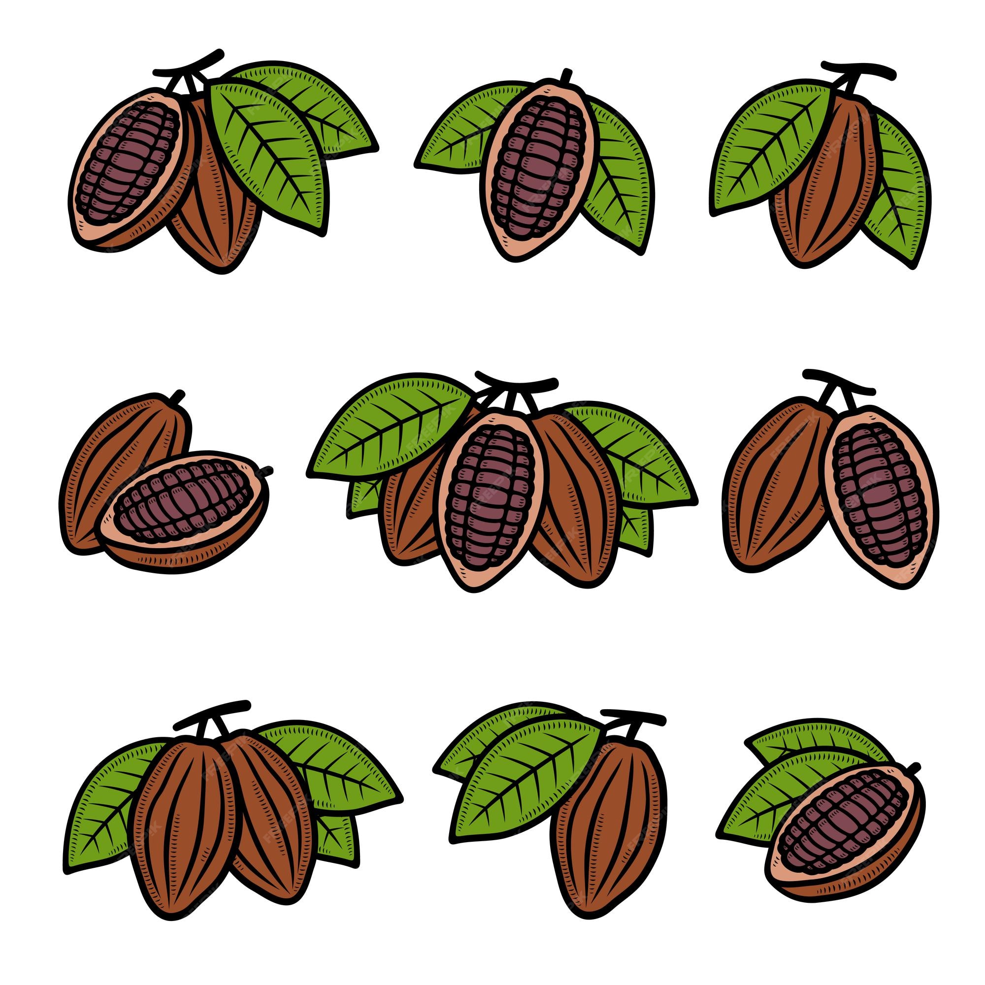 Premium Vector | Cacao beans set. collection cacao beans icons. vector ... Premium Vector | Cacao beans set. collection cacao beans icons. vector ...