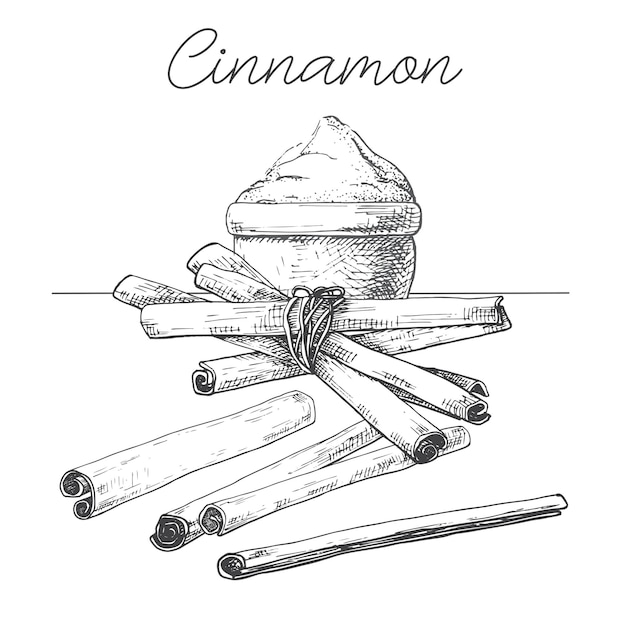 Premium Vector | Cinnamon sticks, cinnamon powder. hand drawn spice ... Premium Vector | Cinnamon sticks, cinnamon powder. hand drawn spice ...