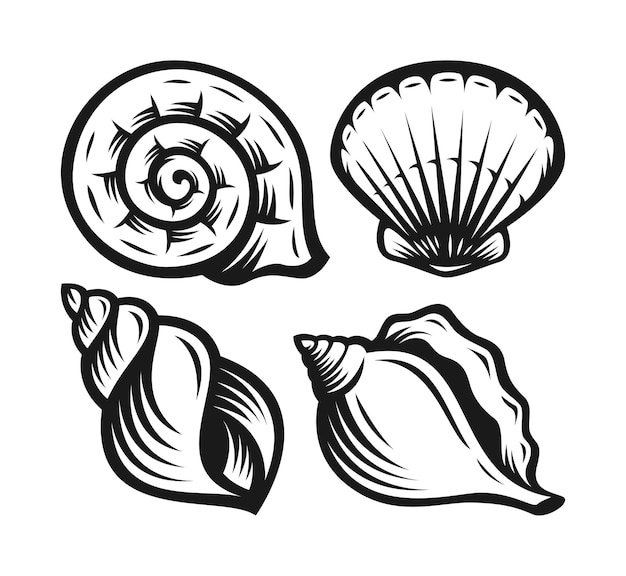 Premium Vector | Collection of various mollusk sea shells. Premium Vector | Collection of various mollusk sea shells.