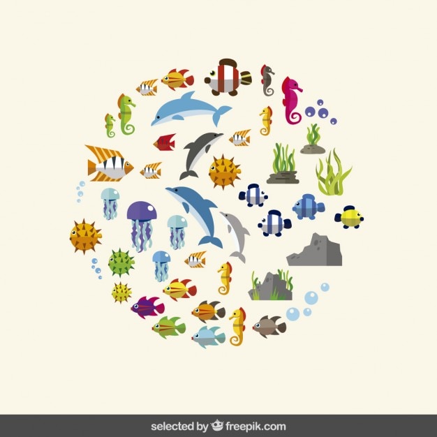 Free Vector | Colorful sea elements Free Vector | Colorful sea elements