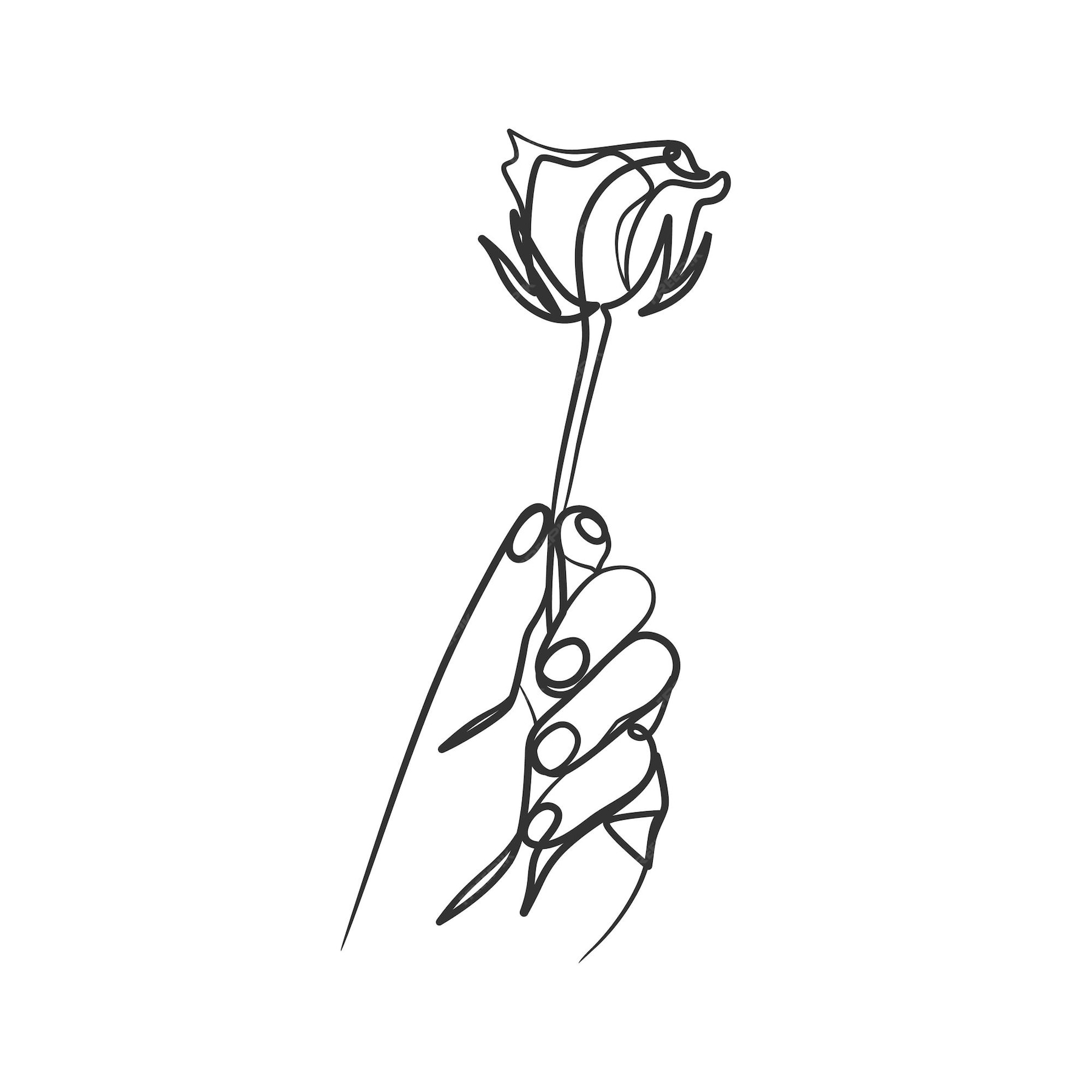 Premium Vector Continuous Line Art Drawing Of A Hand Holding Flower