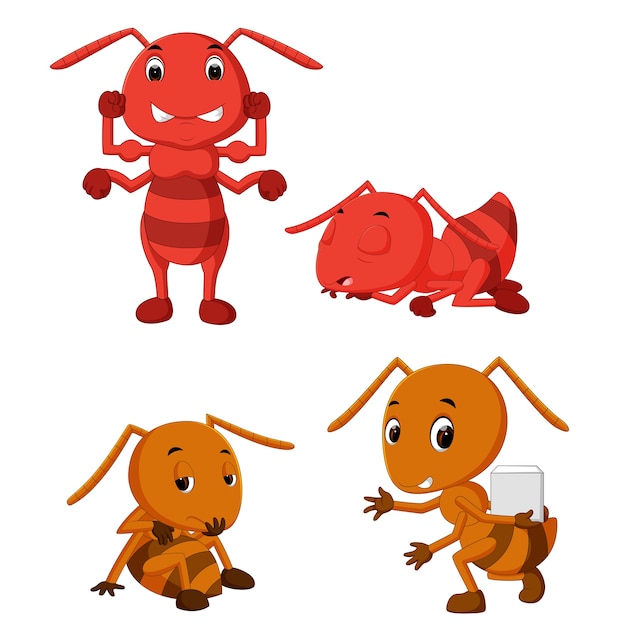 Premium Vector Cute Ant Cartoon