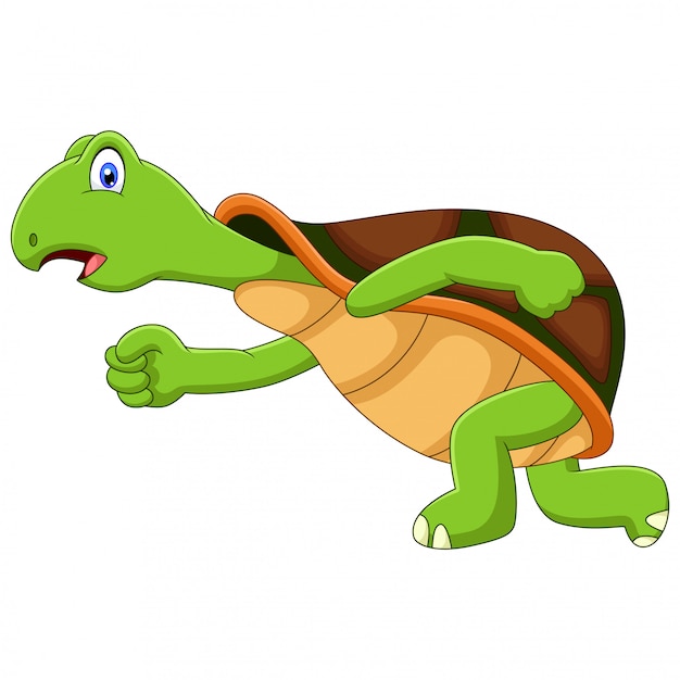 Premium Vector | Cute a turtle running illustration Premium Vector | Cute a turtle running illustration