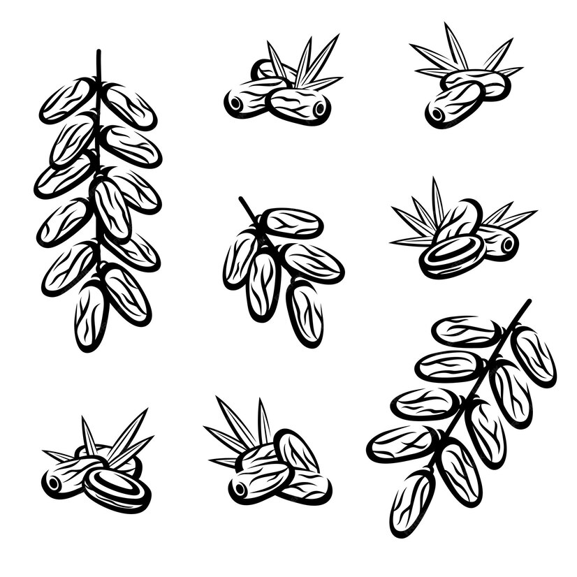 Premium Vector | Dates fruit set collection icon dates fruit vector Premium Vector | Dates fruit set collection icon dates fruit vector