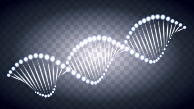 Premium Vector | Dna light trace effect. Premium Vector | Dna light trace effect.