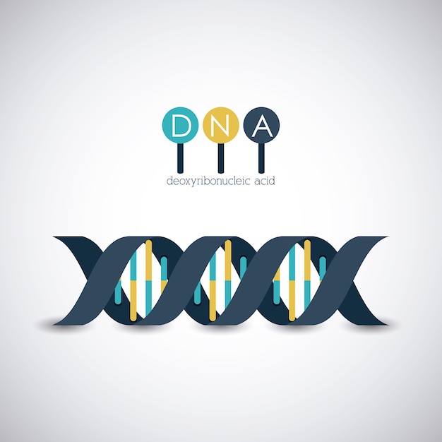 Premium Vector | Dna structure chromosome icon Premium Vector | Dna structure chromosome icon