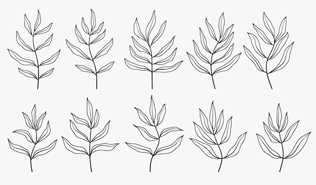 Premium Vector Doodle Leaves Set