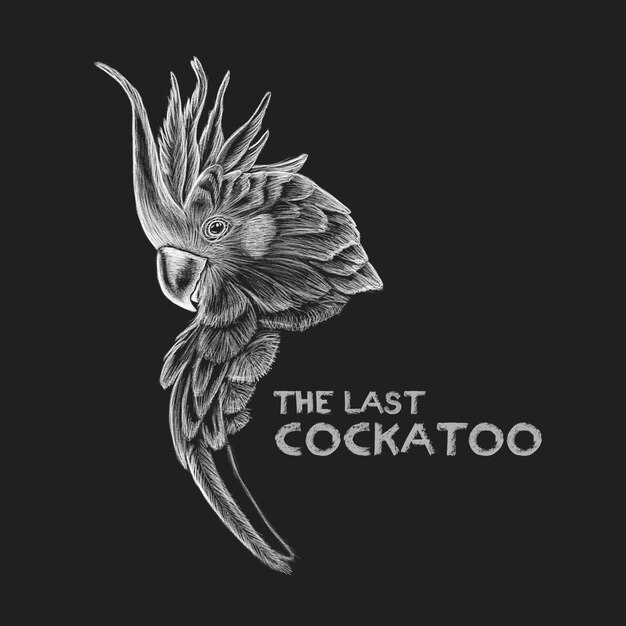 Premium Vector Drawing Cockatoo Concept