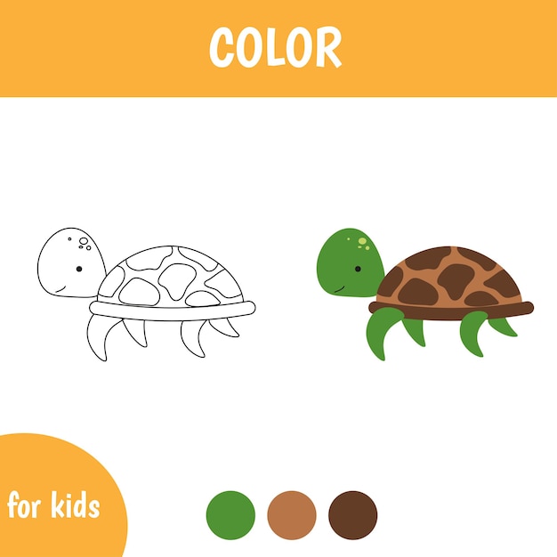 Premium Vector | Educational color page for kids with turtle Premium Vector | Educational color page for kids with turtle