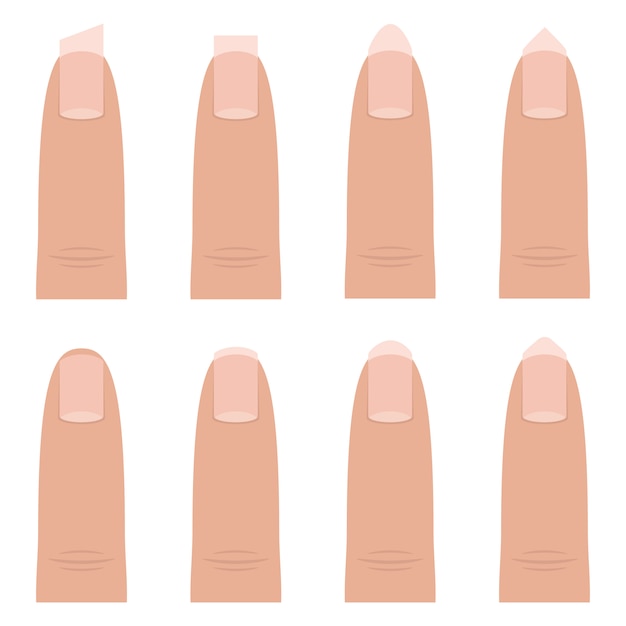 Premium Vector | Female nail shapes design illustration isolated on ... Premium Vector | Female nail shapes design illustration isolated on ...