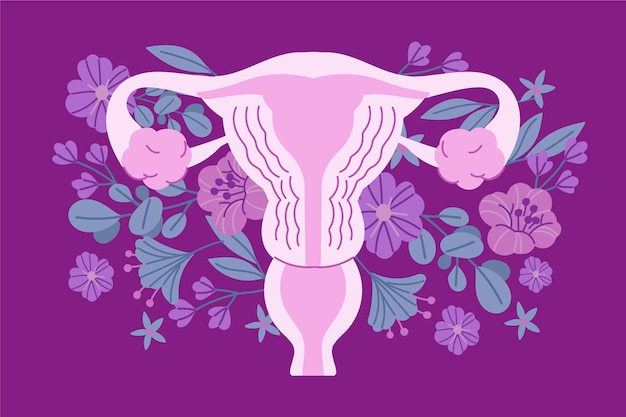 Free Vector Female Reproductive System With Flowers