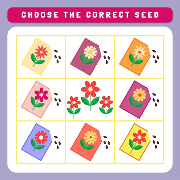 Premium Vector | Find the correct object Premium Vector | Find the correct object