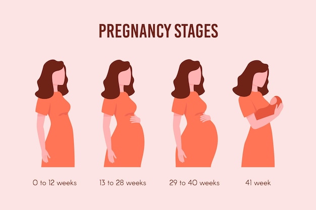 African Stages Pregnancy Stages Nude Photos Of Women