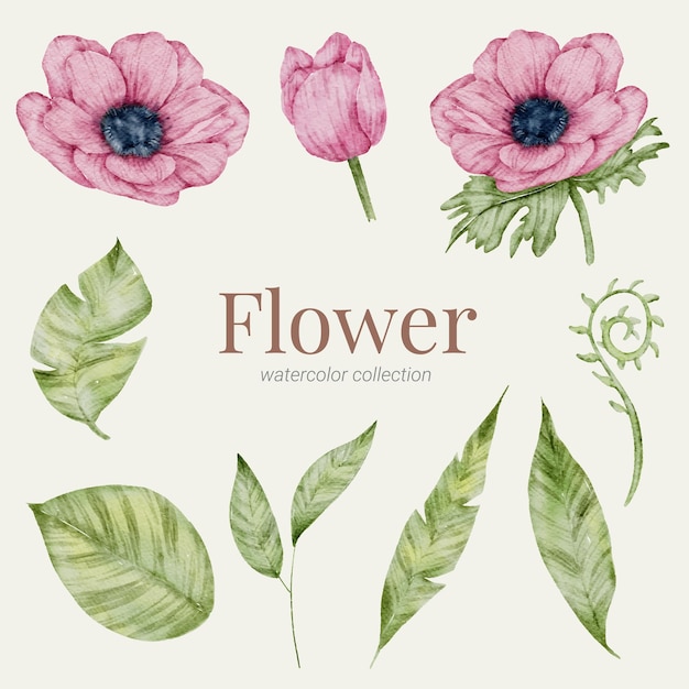 Premium Vector Floral Element Watercolor Collection
