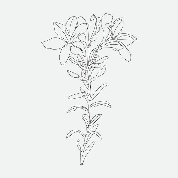 Premium Vector Flower Monoline Contemporary Art Drawing