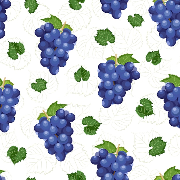 Premium Vector | Grape bunch seamless pattern on white background with ... Premium Vector | Grape bunch seamless pattern on white background with ...