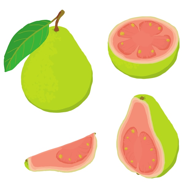 Premium Vector | Guava icons set, isometric style Premium Vector | Guava icons set, isometric style