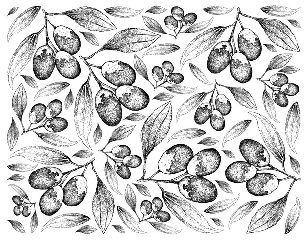 Premium Vector | Hand drawn background of fresh jujube fruits Premium Vector | Hand drawn background of fresh jujube fruits