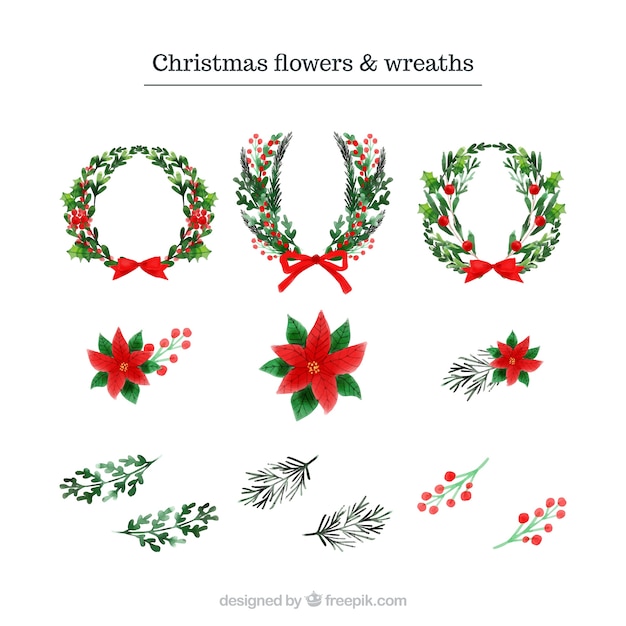 Free Vector | Hand drawn christmas flowers and wreaths Free Vector | Hand drawn christmas flowers and wreaths