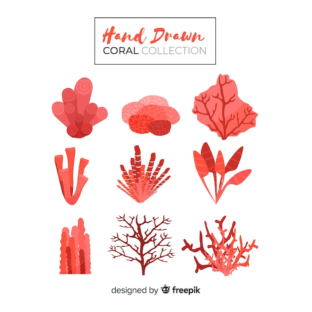 Free Vector | Hand drawn colorful coral collection Free Vector | Hand drawn colorful coral collection