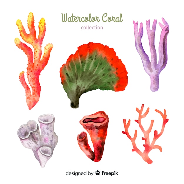 Free Vector | Hand drawn colorful coral collection Free Vector | Hand drawn colorful coral collection
