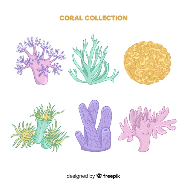 Free Vector | Hand drawn colorful coral collection Free Vector | Hand drawn colorful coral collection