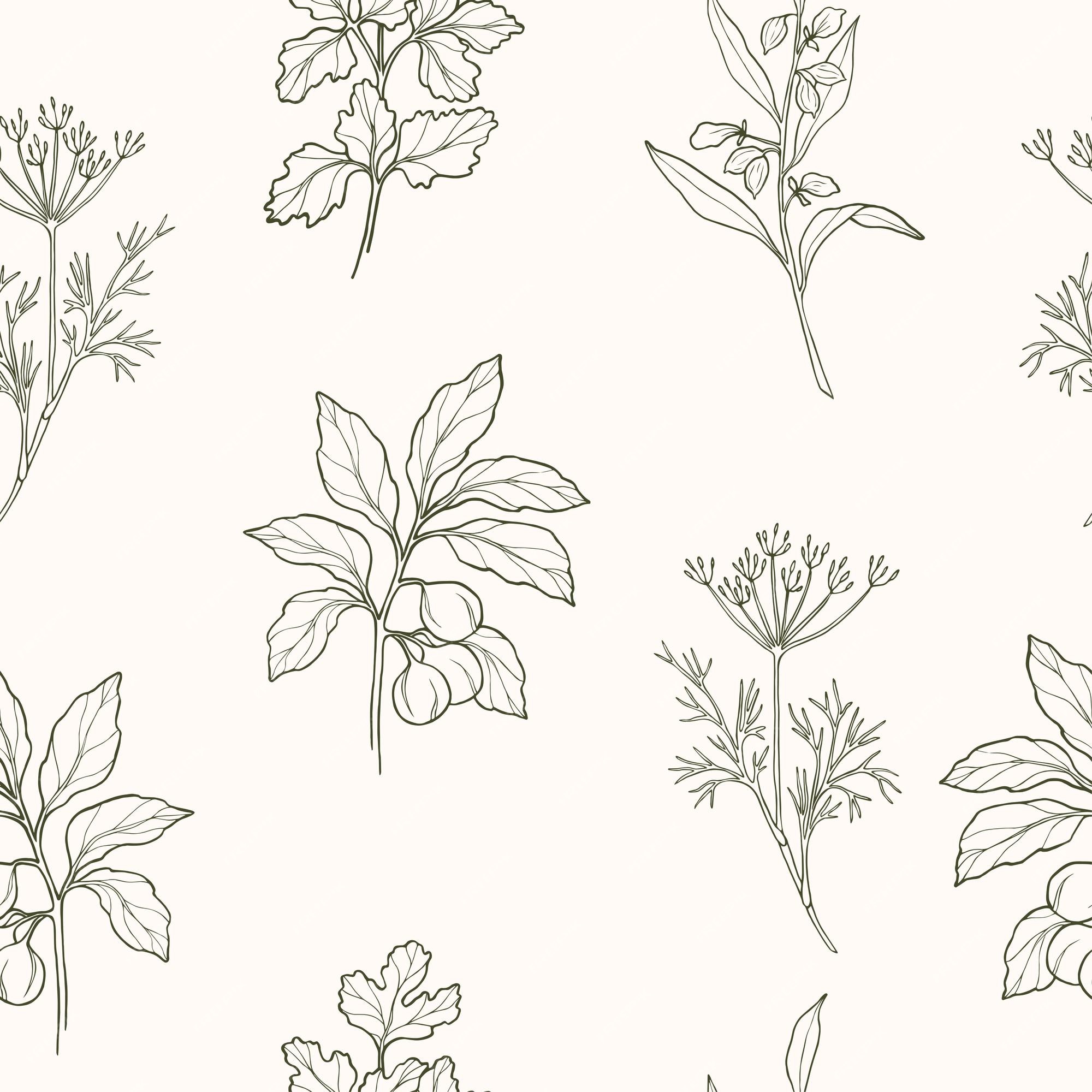 Premium Vector | Hand drawn herbs seamless pattern Premium Vector | Hand drawn herbs seamless pattern