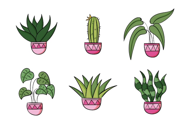 Premium Vector Hand Drawn Houseplant Collection